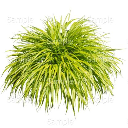 ガーデン – ページ 2 – sozaiya.com