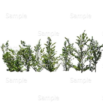 GA_165 – sozaiya.com