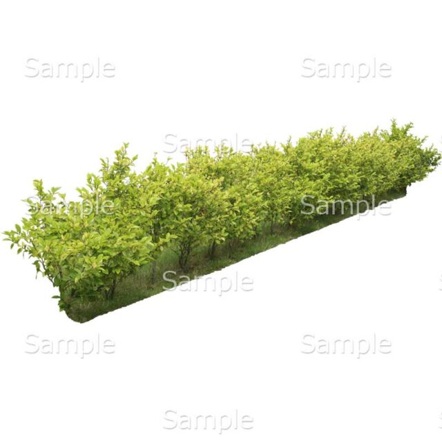 GA_166 – sozaiya.com