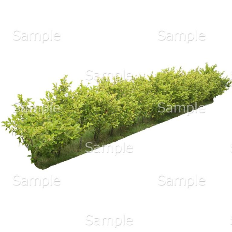 GA_166 – sozaiya.com