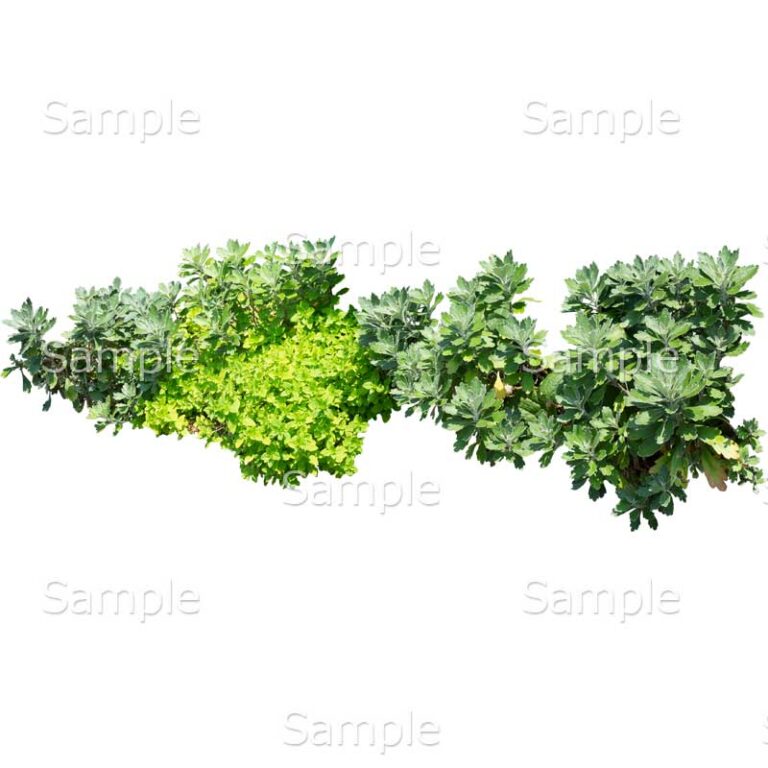 GA_168 – sozaiya.com