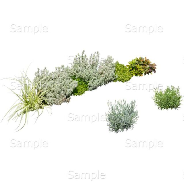 GA_169 – sozaiya.com