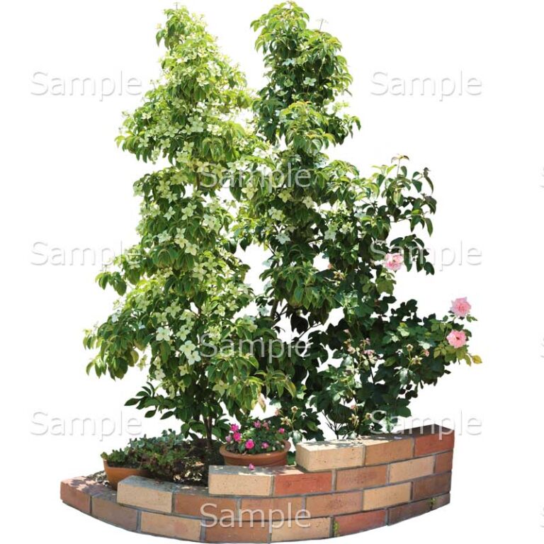 ガーデン – sozaiya.com