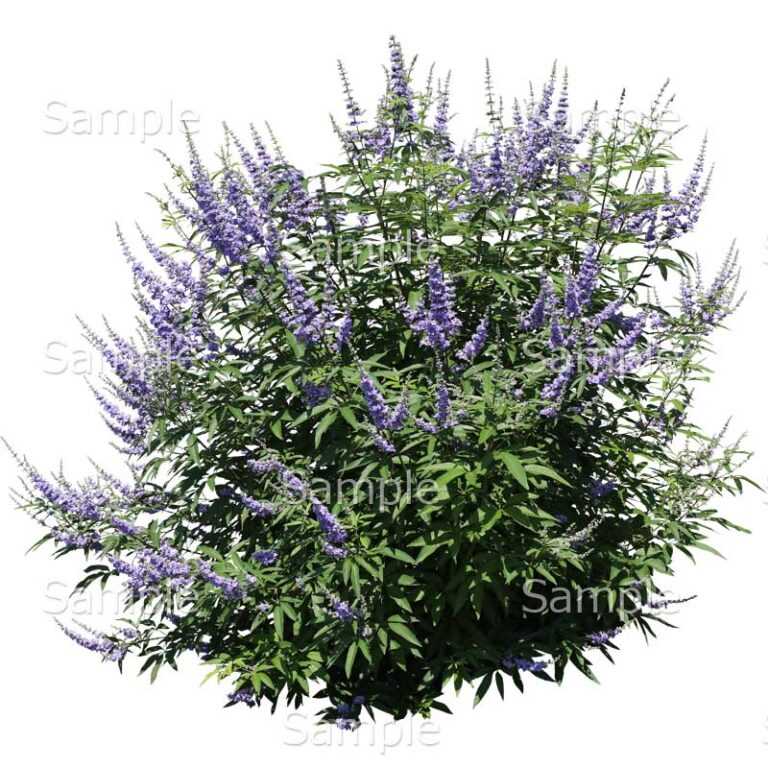 GA_186 – sozaiya.com