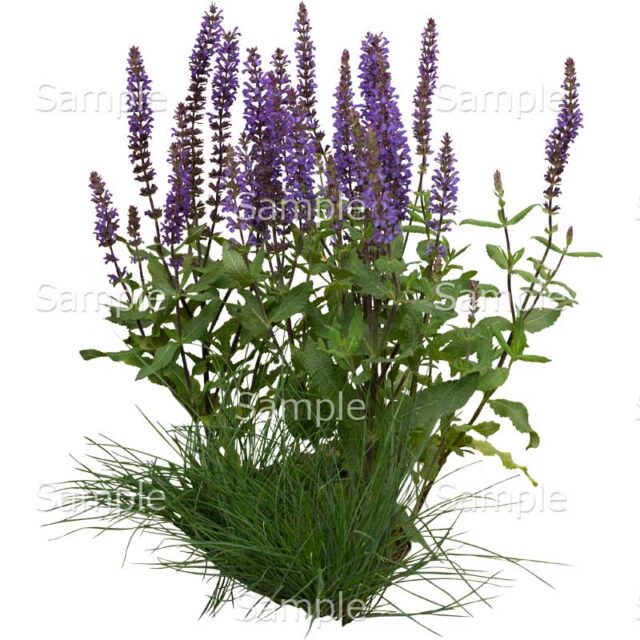 GA_187 – sozaiya.com