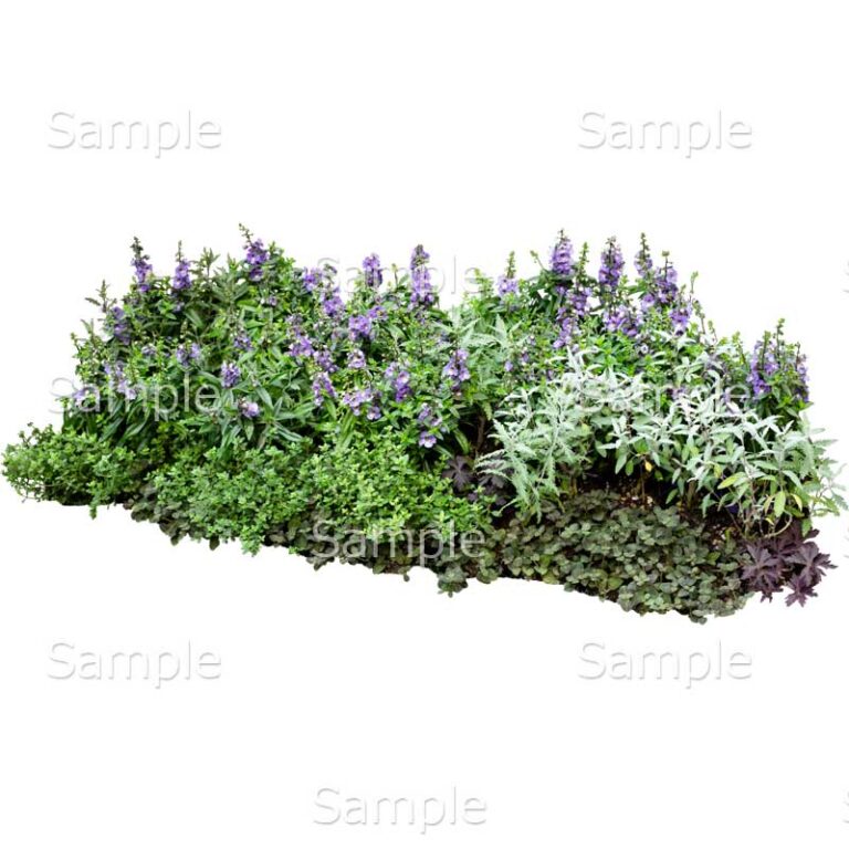 GA_194 – sozaiya.com