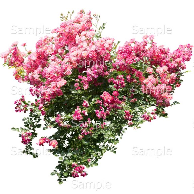 ガーデン – ページ 2 – sozaiya.com