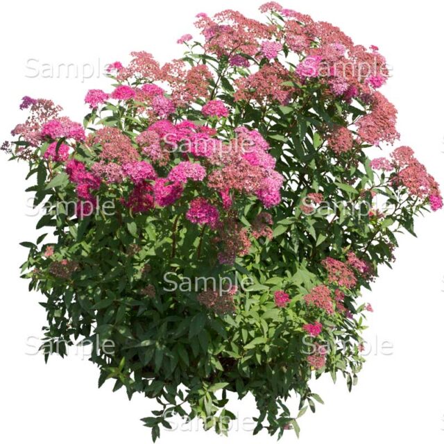 GA_197 – sozaiya.com