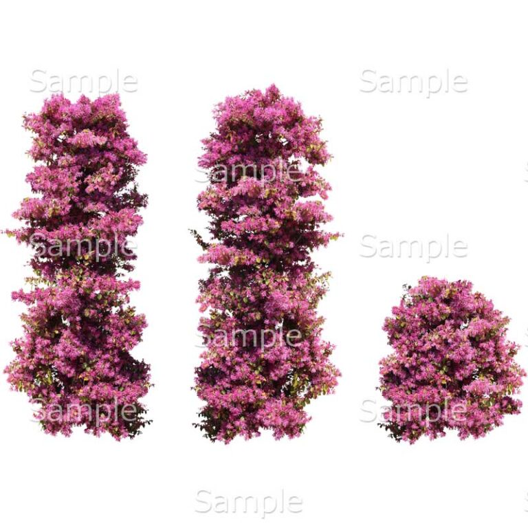 ガーデン – ページ 3 – sozaiya.com