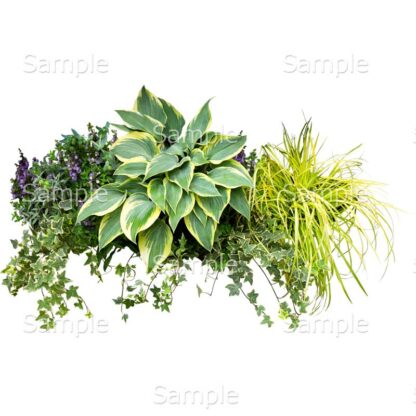 bonhachi_03 – sozaiya.com