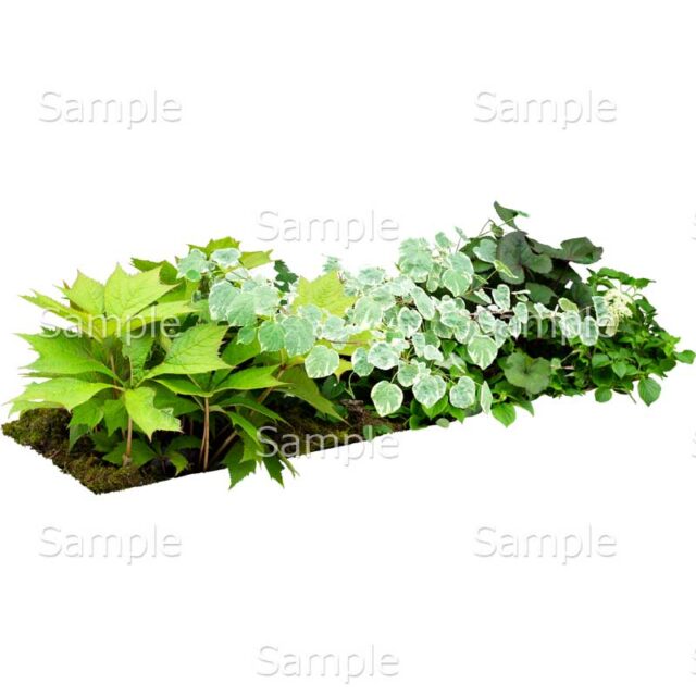 GA_204 – sozaiya.com