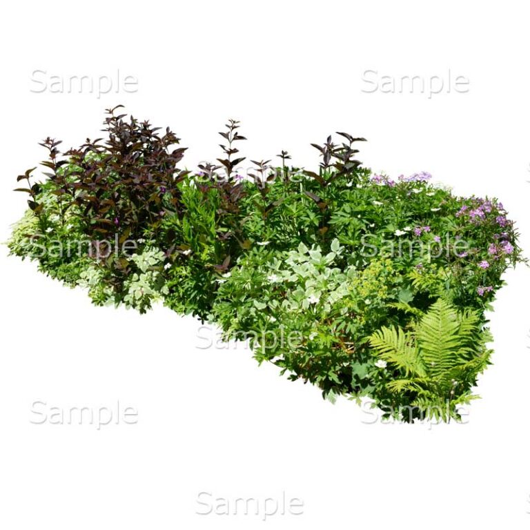 ガーデン – ページ 4 – sozaiya.com