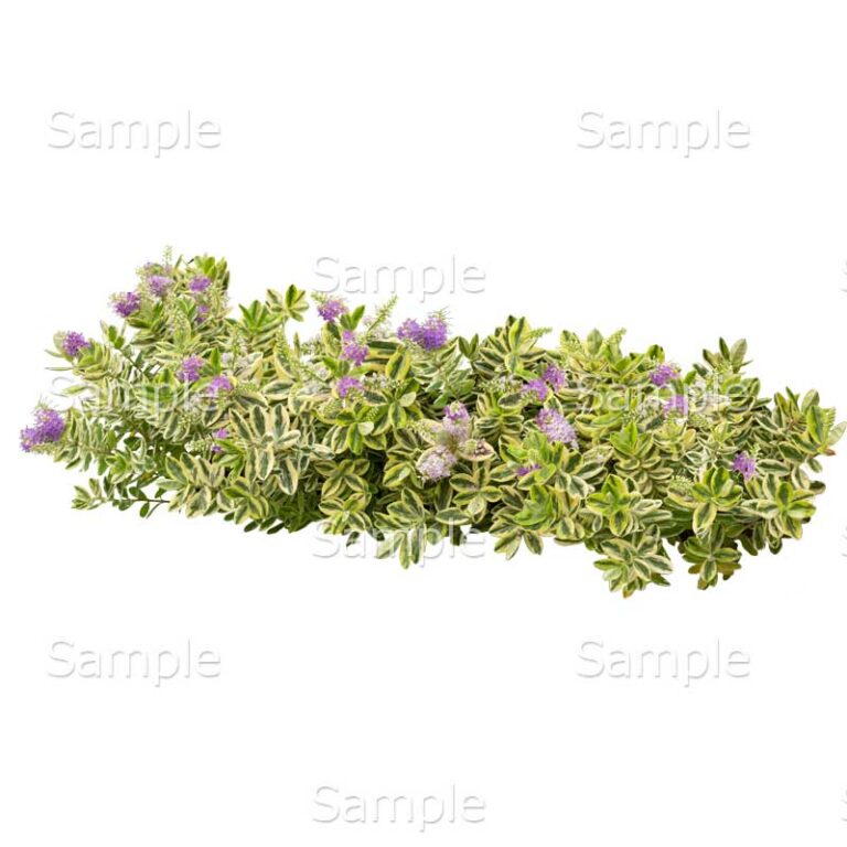 GA_208 – sozaiya.com