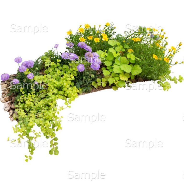 GA_209 – sozaiya.com