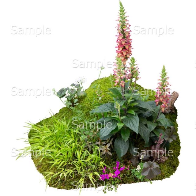 GA_217 – sozaiya.com