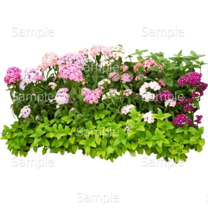 ガーデン – sozaiya.com