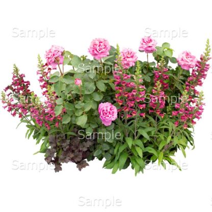 ガーデン – ページ 4 – sozaiya.com