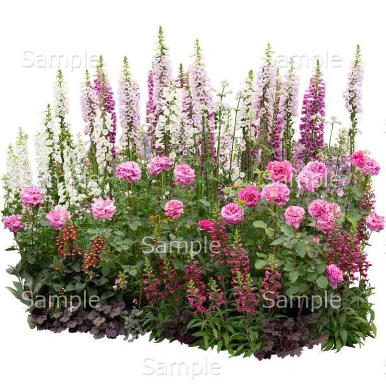 GA_223 – sozaiya.com