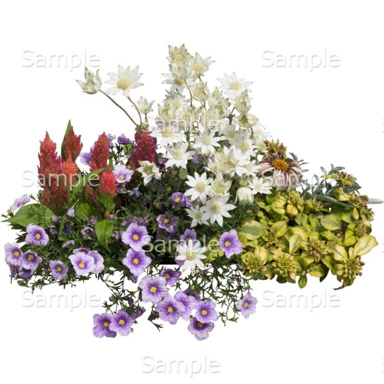 ガーデン – ページ 4 – sozaiya.com