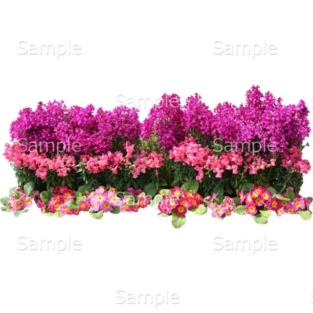 花园 – sozaiya.com