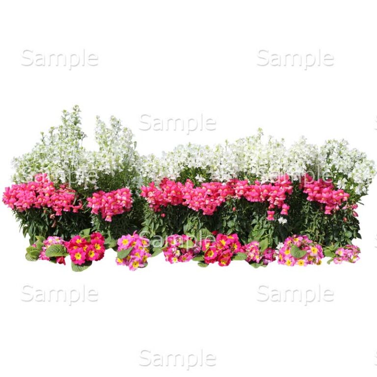 ガーデン – sozaiya.com