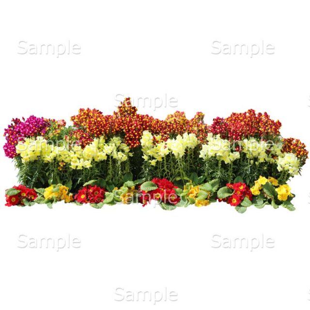 ガーデン – ページ 2 – sozaiya.com