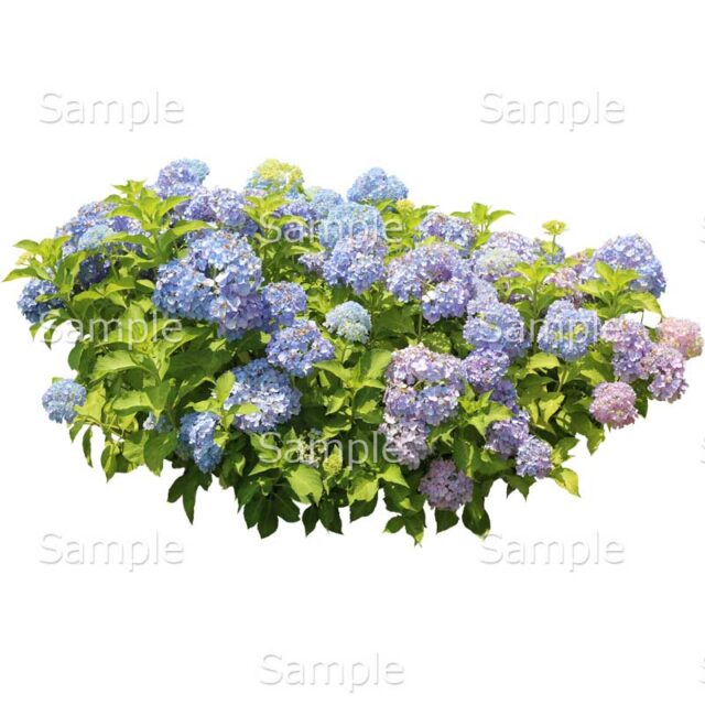 GA_235 – sozaiya.com