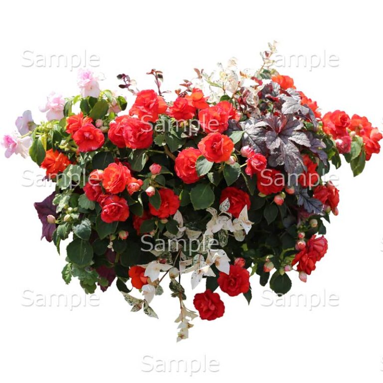 ガーデン – sozaiya.com