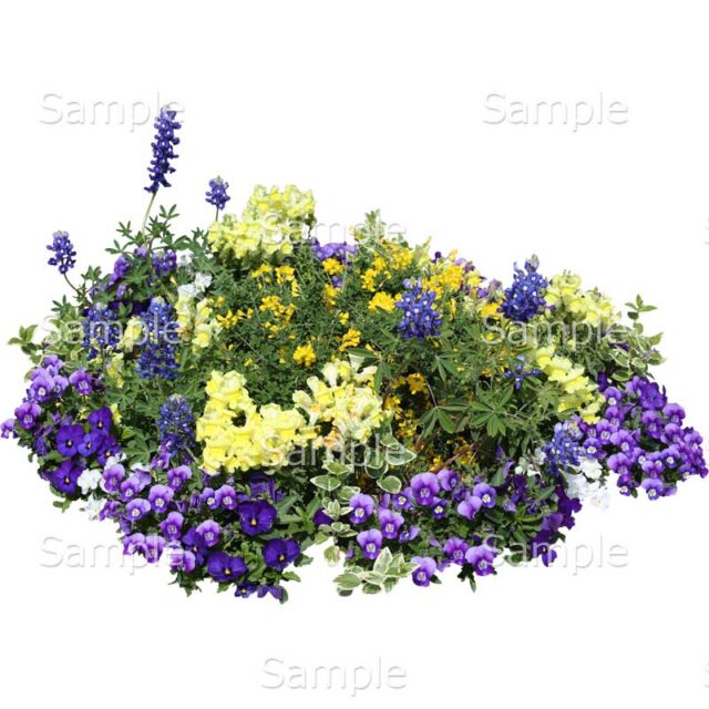 ガーデン – sozaiya.com