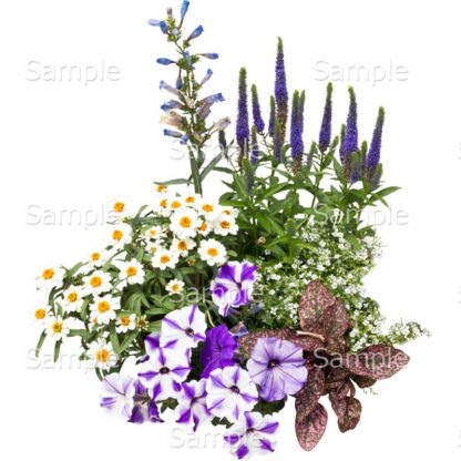 GA_247 – sozaiya.com