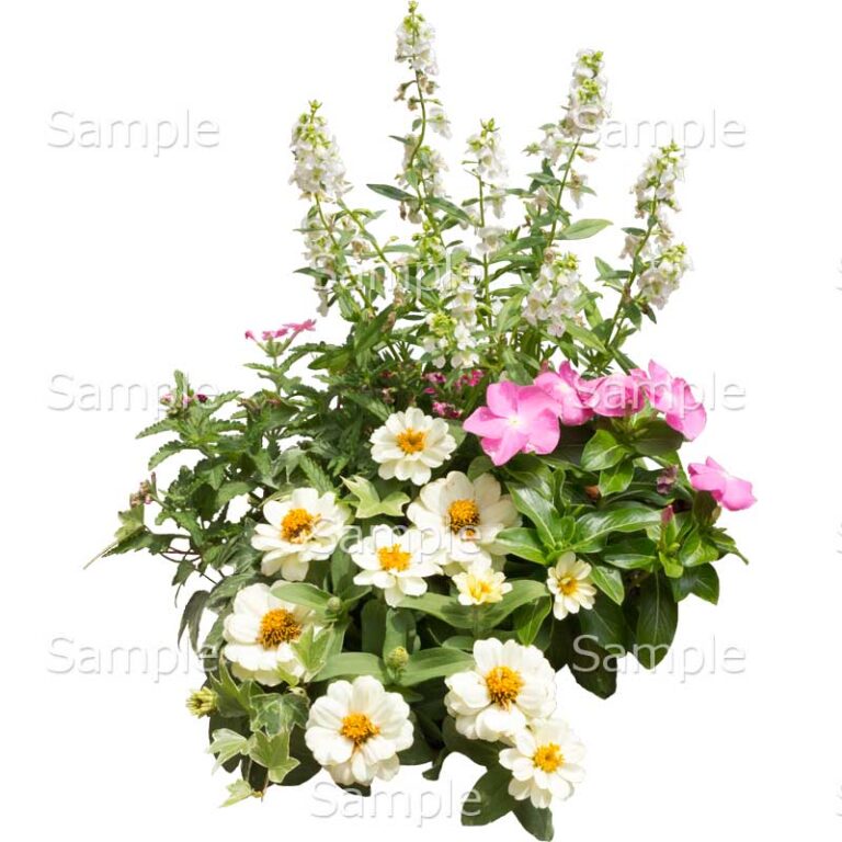 GA_248 – sozaiya.com