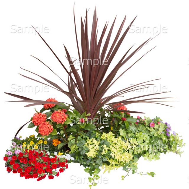 GA_157 – sozaiya.com