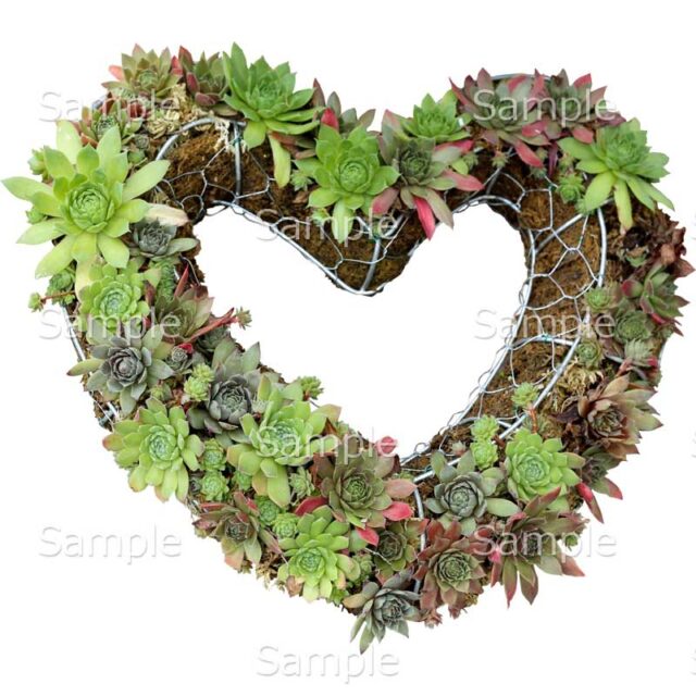 GA_251 – sozaiya.com