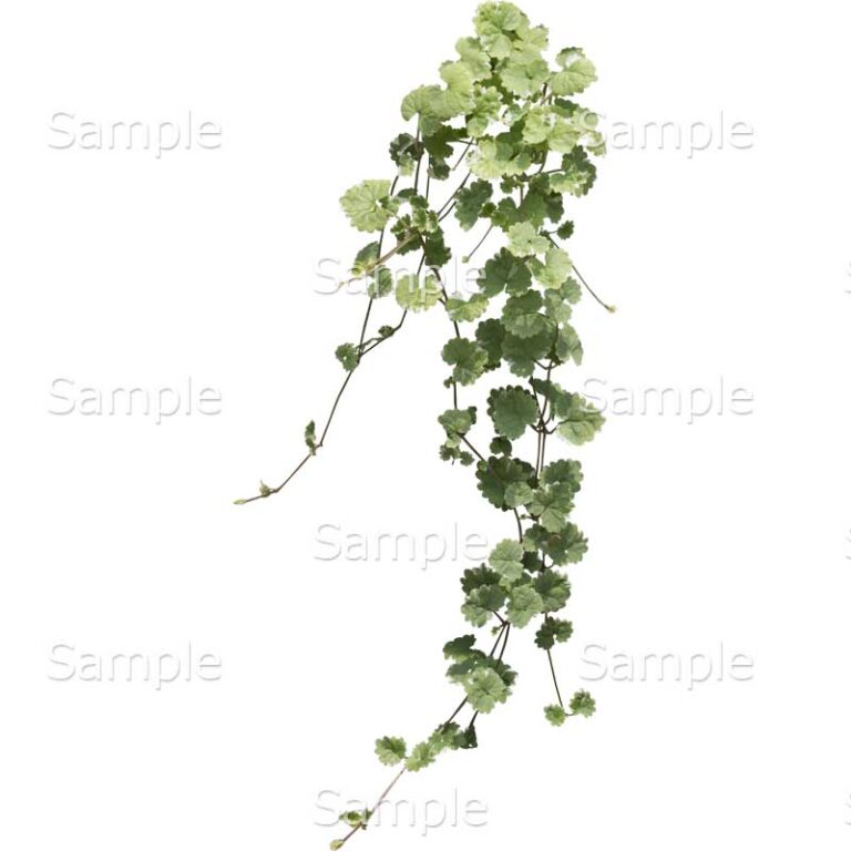 GA_252 – sozaiya.com