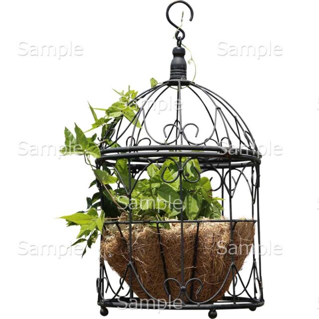 GA_254 – sozaiya.com