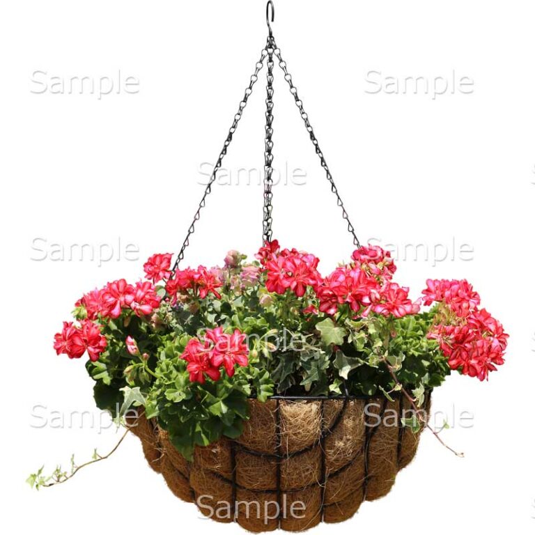 ガーデン – ページ 4 – sozaiya.com