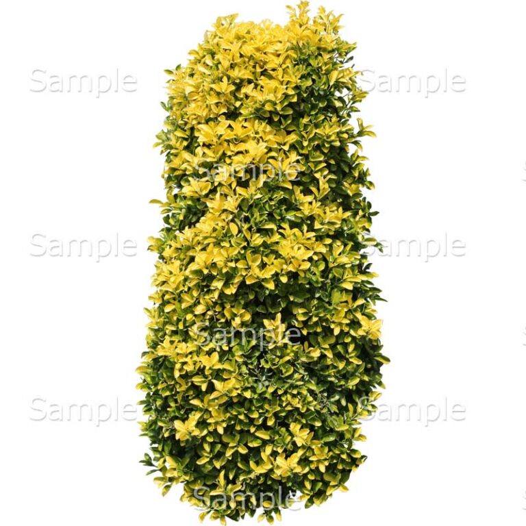 ガーデン – sozaiya.com