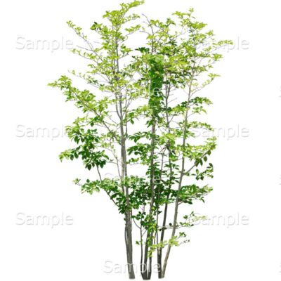 GA_355 – sozaiya.com