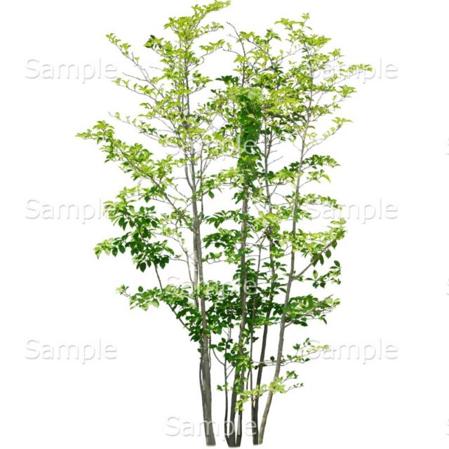 GA_355 – sozaiya.com