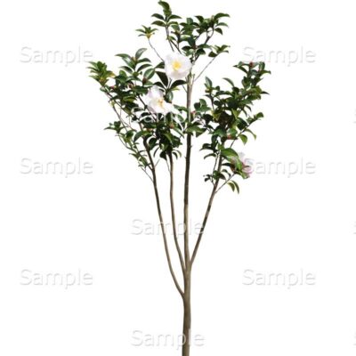 bonhachi_01 – sozaiya.com