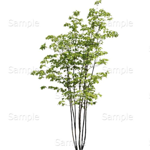 GA_280 – sozaiya.com