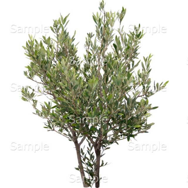 GA_283 – sozaiya.com