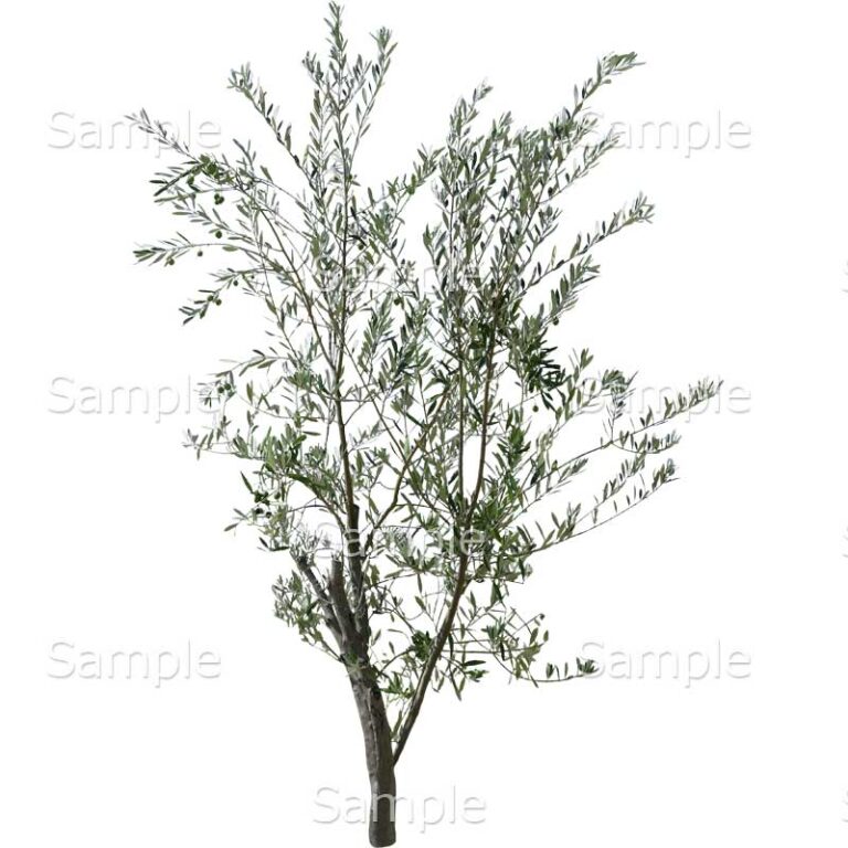 bonhachi_01 – sozaiya.com