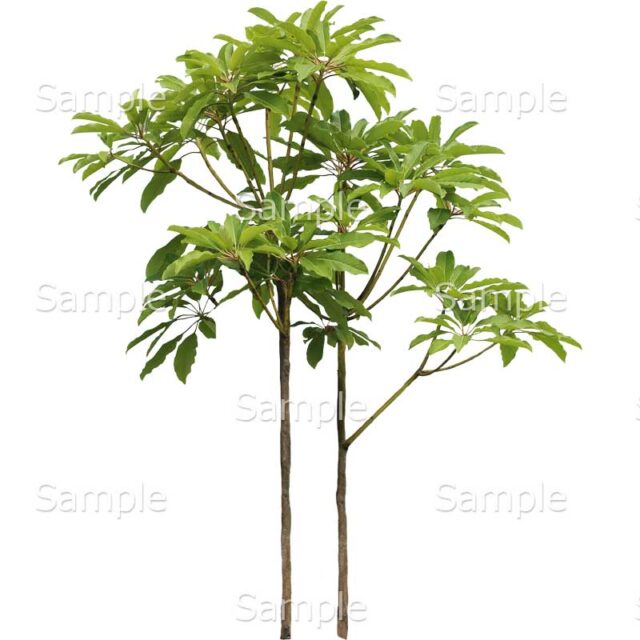 GA_157 – sozaiya.com