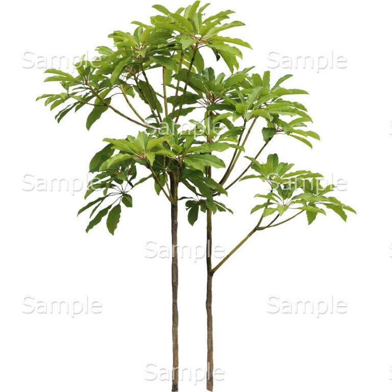 GA_157 – sozaiya.com