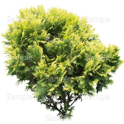 ガーデン – sozaiya.com