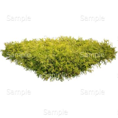 ガーデン – ページ 2 – sozaiya.com