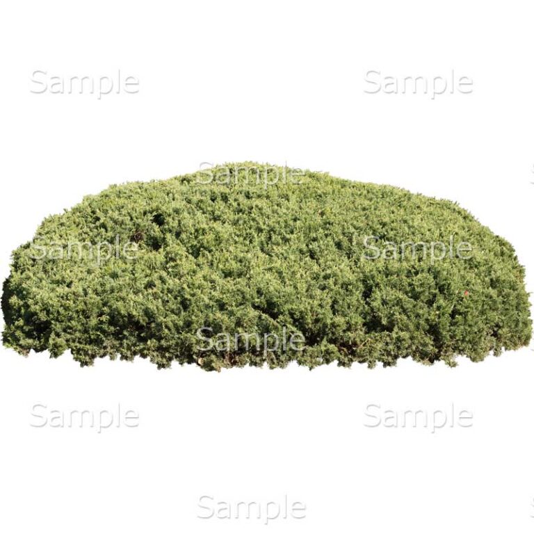 ガーデン – ページ 2 – sozaiya.com