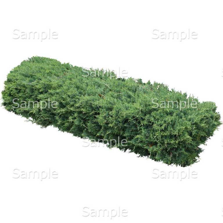 GA_297 – sozaiya.com