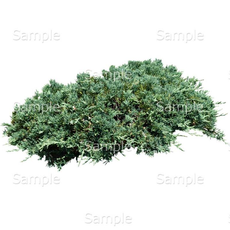 ガーデン – sozaiya.com